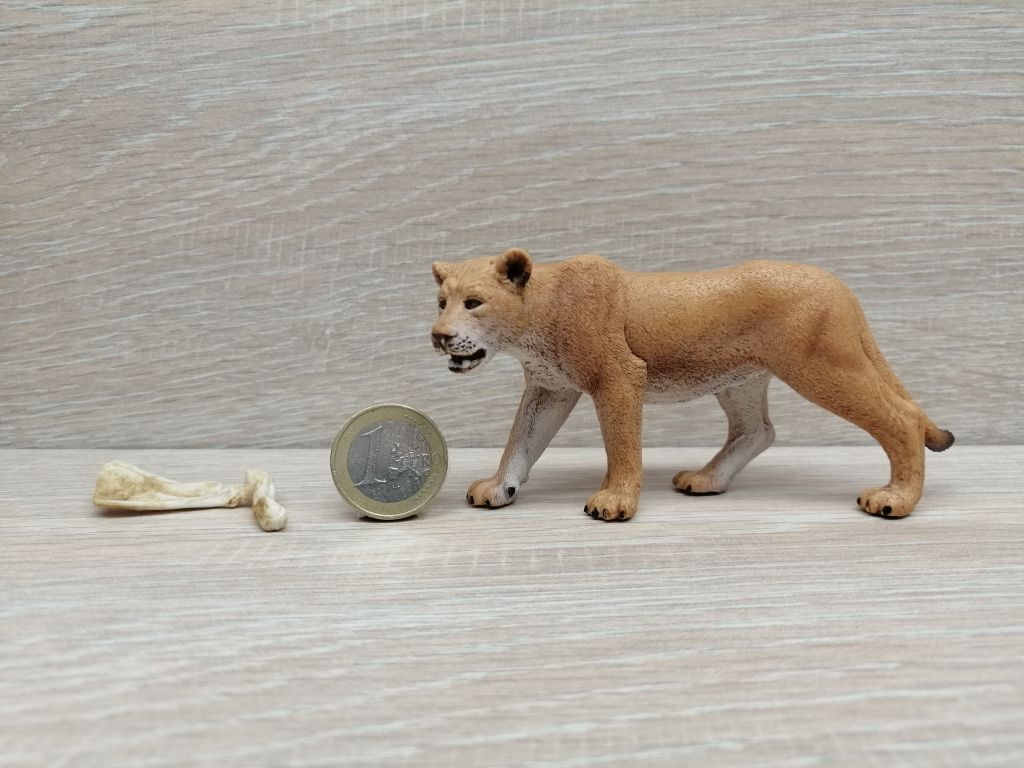 Schleich – 42256 Playset Höhle (RAR) – Onlineshop Kinderlino