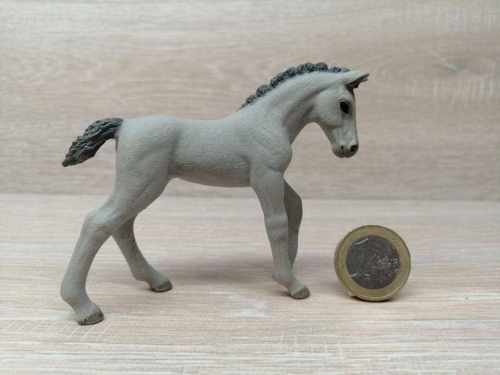 Schleich – Trakehner Fohlen (aus Kalender 2020) – Onlineshop Kinderlino