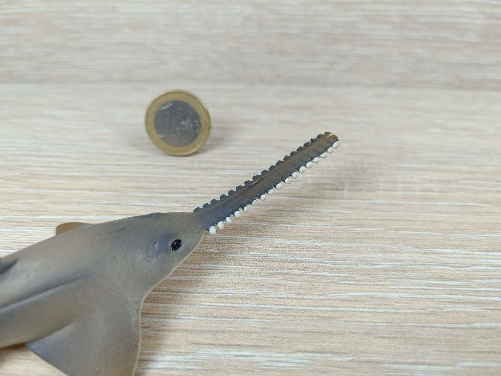 Schleich – 14724 Sägefisch [Sägerochen] (RAR) – Onlineshop Kinderlino