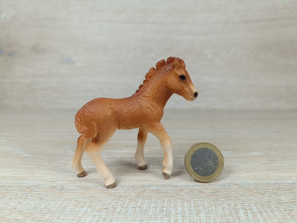 Schleich – Island Pony Fohlen (aus Kalender 2019) – Onlineshop Kinderlino